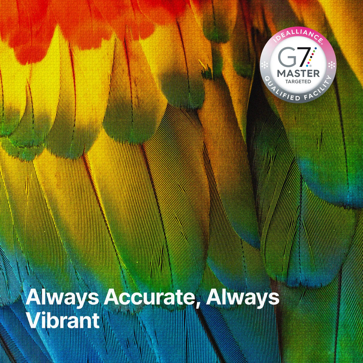 xTool Selected Apparel Printer Cyan Ink (500ml)